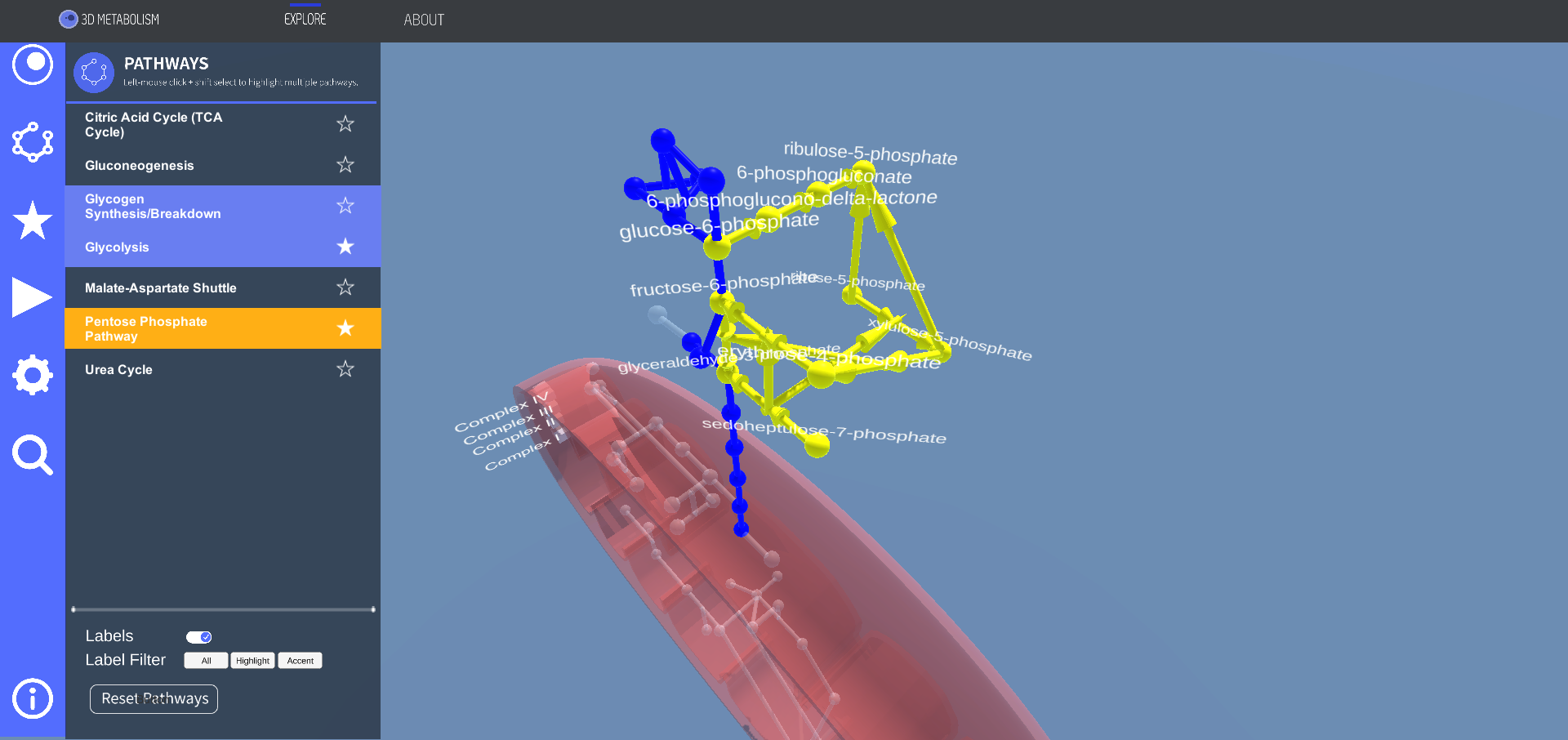 Shashwat Suri - An Unfocused Programmer