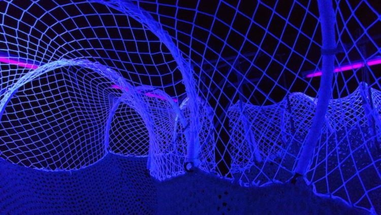 Shashwat Suri - An Unfocused Programmer